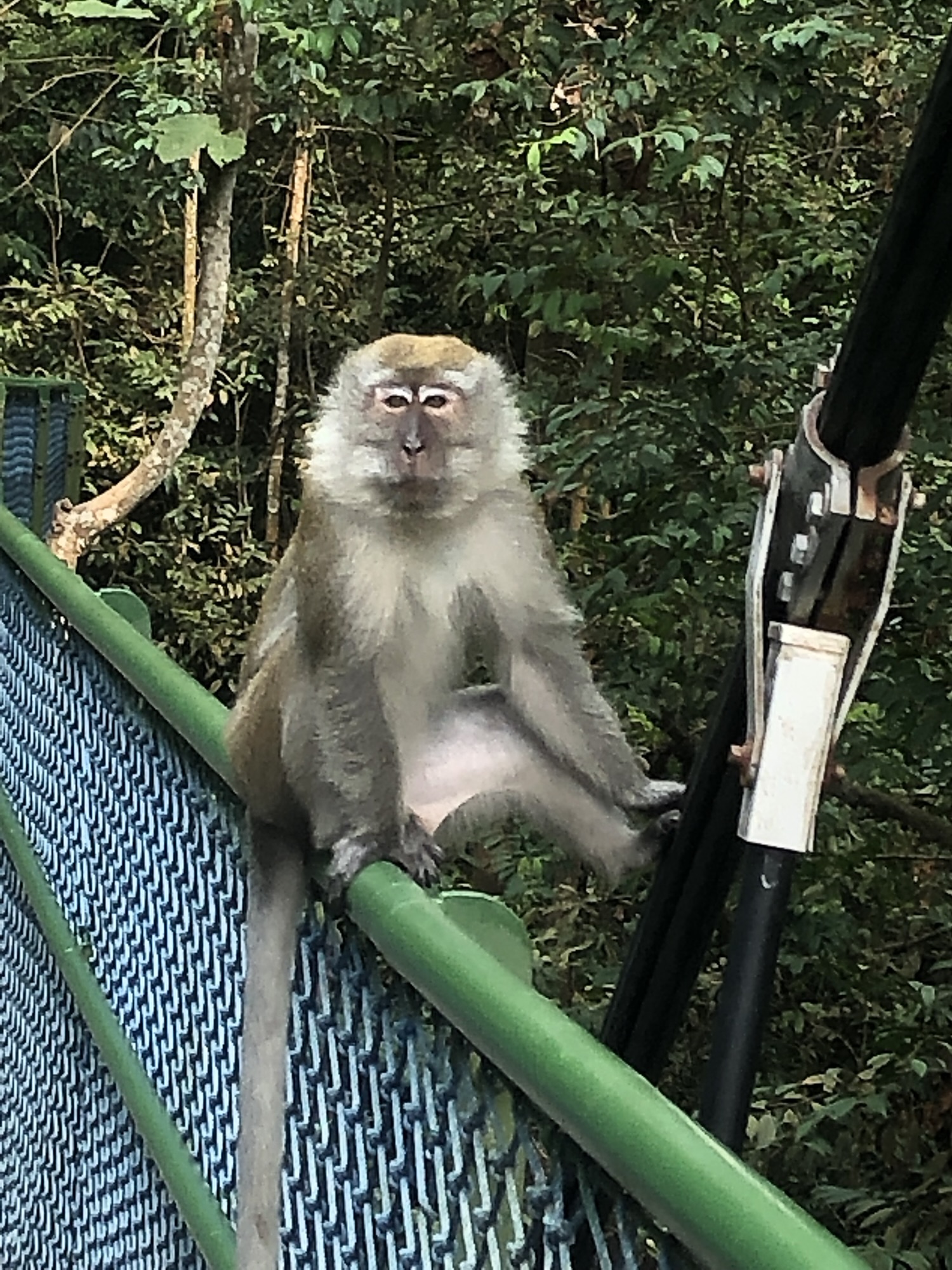 How to get out of debt – Jess lanai